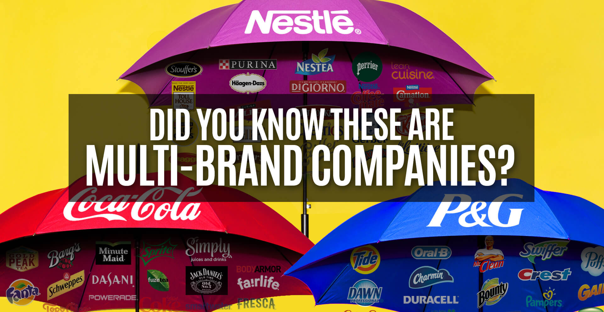 Did You Know These Are Multi-Brand Companies?