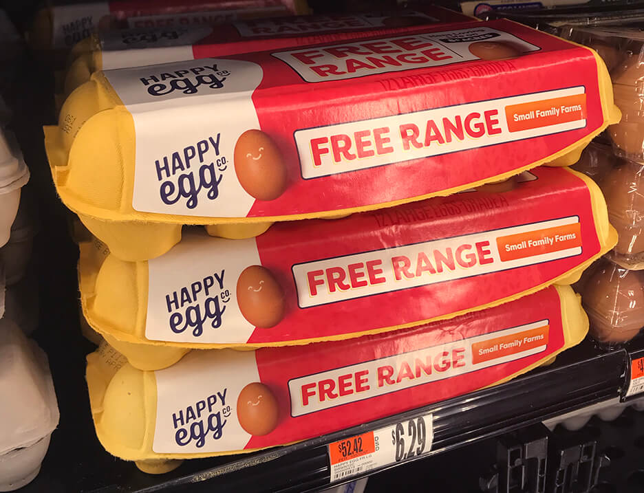 How Branding and Packaging Design Can Make Your Company Successful