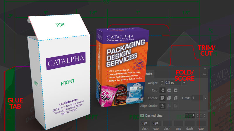 Step-by-Step Package Dieline Tutorial [with videos and downloads]