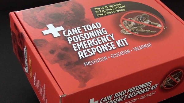 Custom Sales Kits - Your ‘Salesperson’ in a Box [with Video]